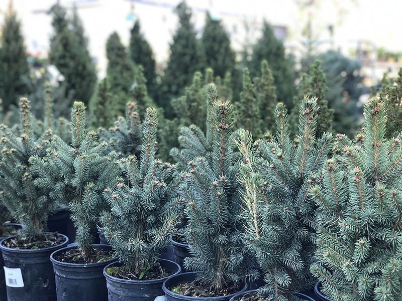 Look Inside Our Store