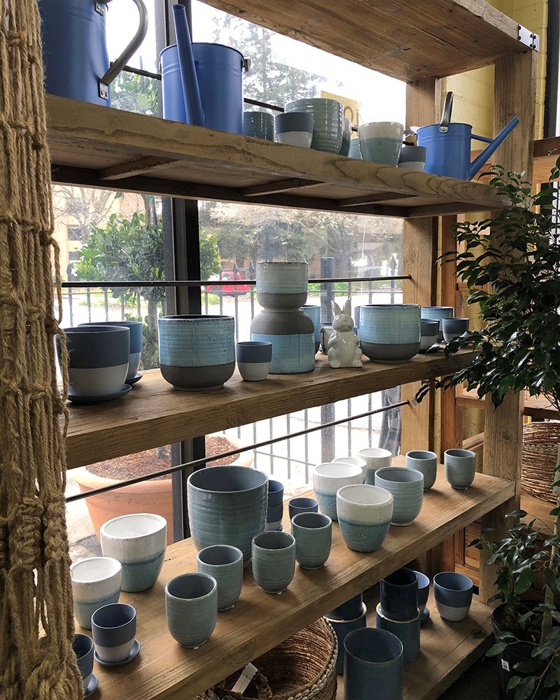 Sales and Promotions