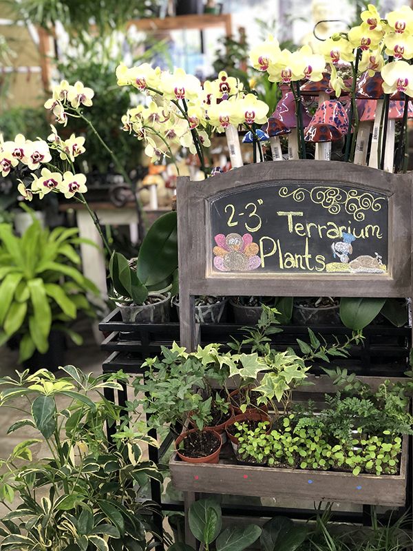 Look Inside Our Store