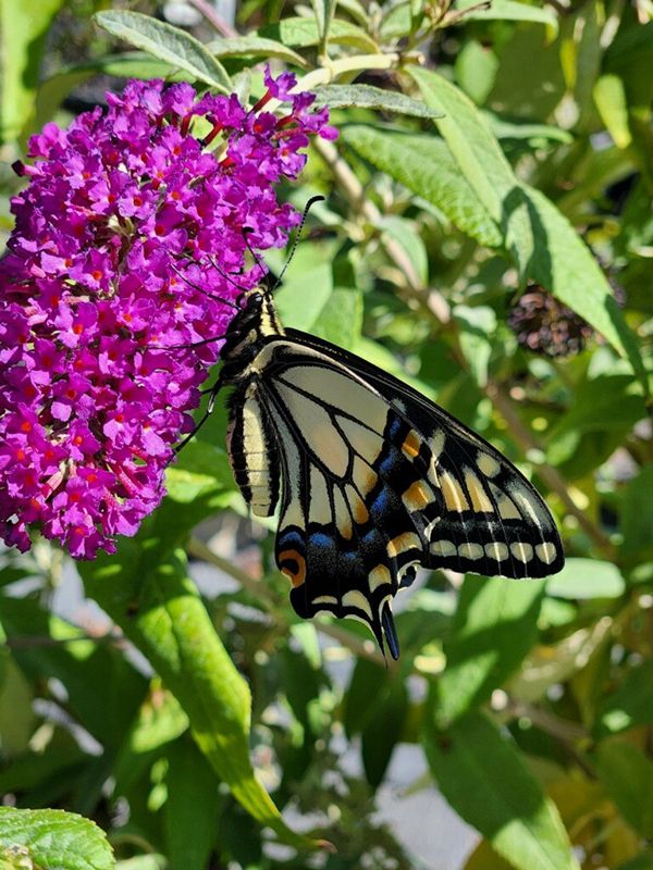 Look Inside Our Store